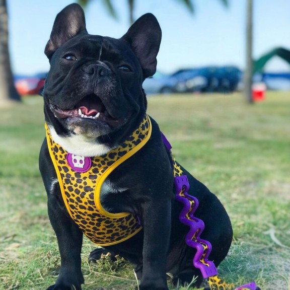 Tienda Online PETIT SOL